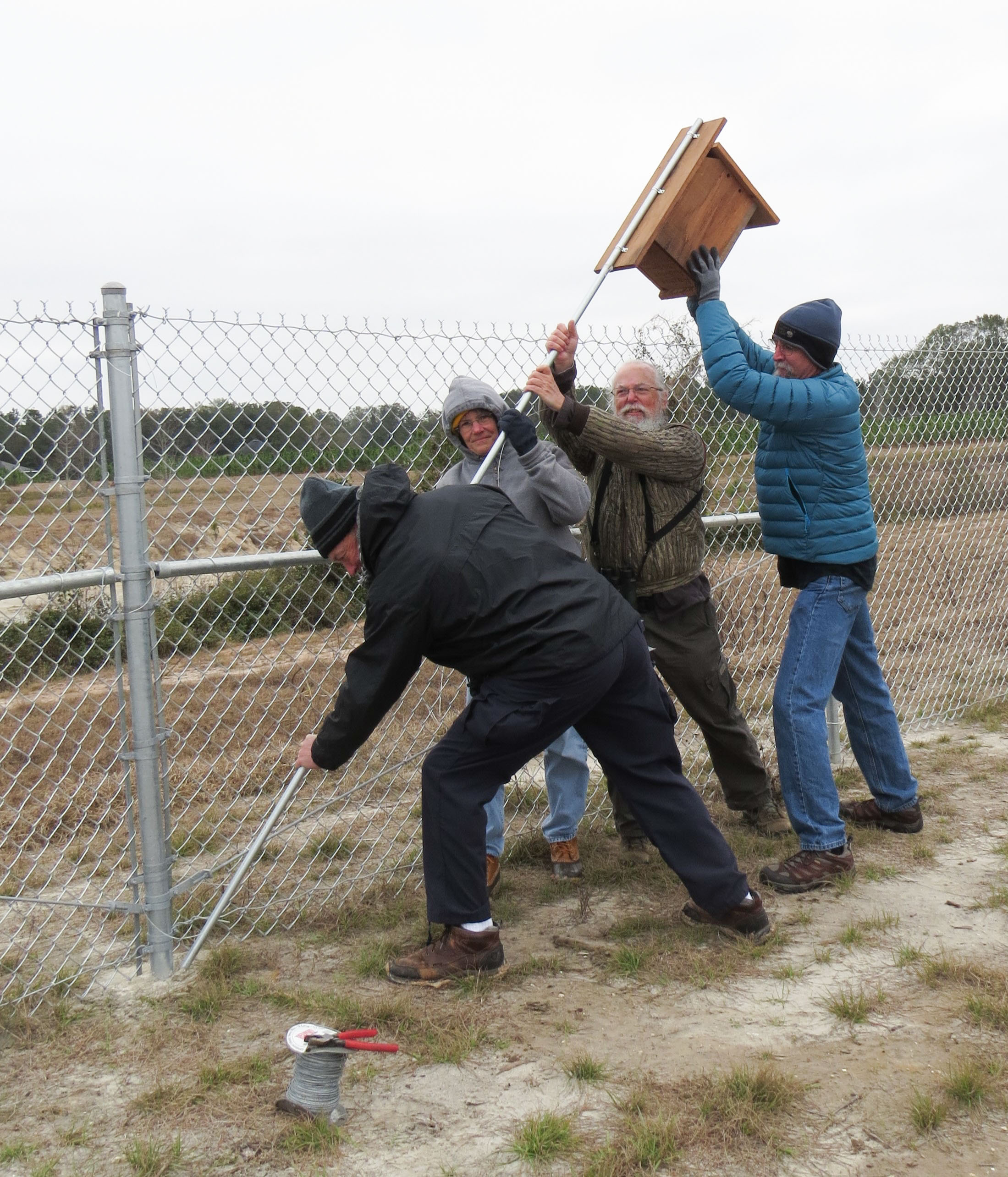 Purple Martin Nest Box Program – ALACHUA AUDUBON SOCIETY